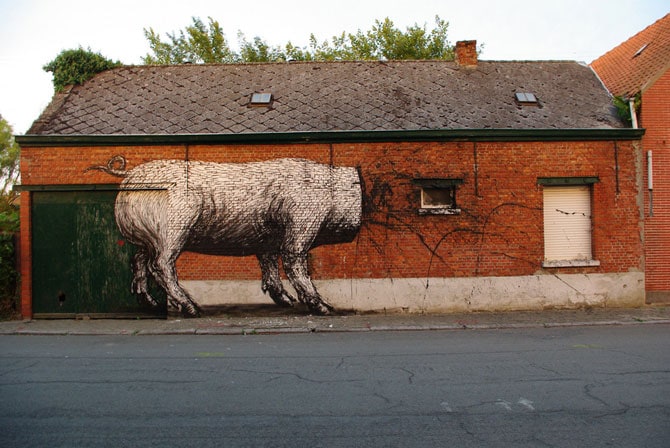 "Animal" Street Art By ROA | FREEYORK