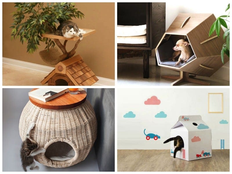 15 Coolest Houses You Wish Your Pet Had | FREEYORK