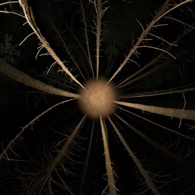 Alternative Perspective Photographs Of Randy Scott Slavin | FREEYORK