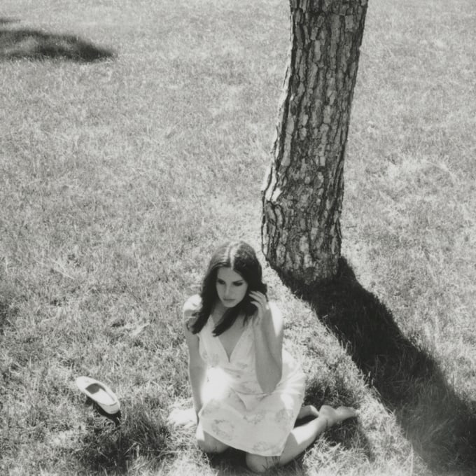 Newest Lana Del Rey Photos By Neil Krug - 2014 | FREEYORK
