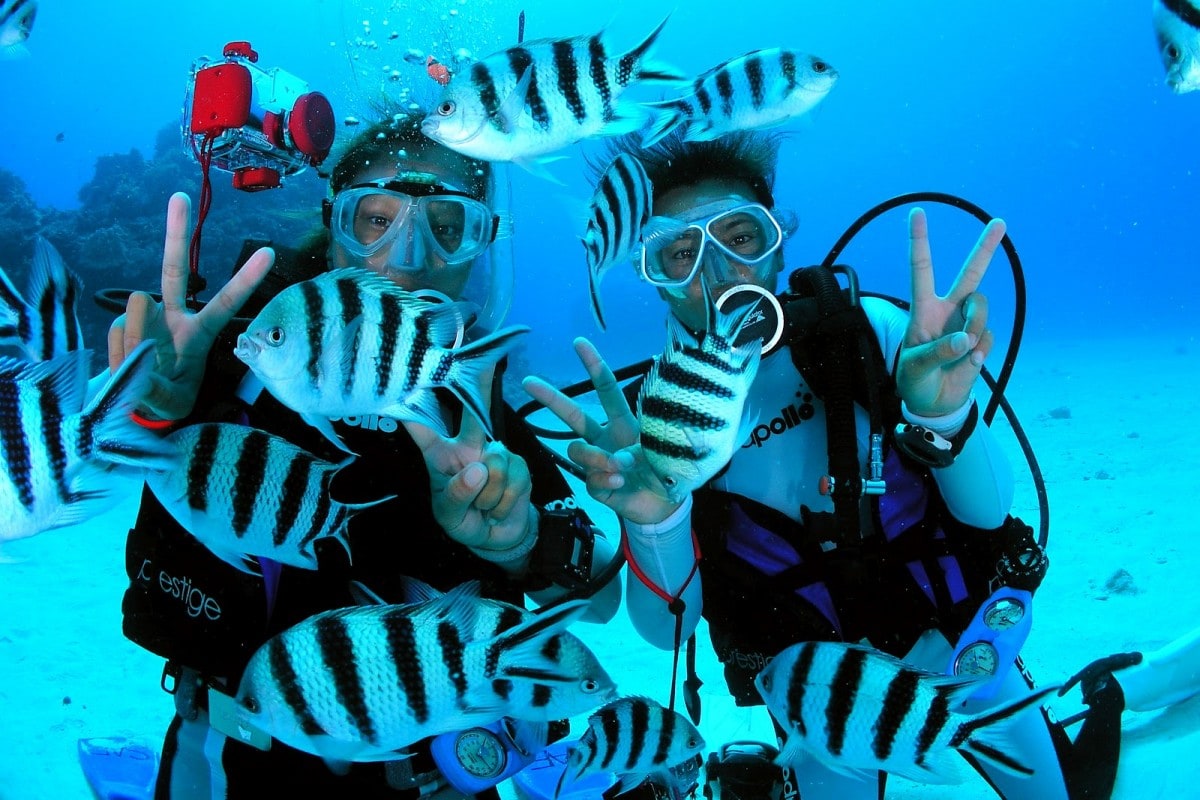 22 Best Scuba Diving Destinations In The World | FREEYORK