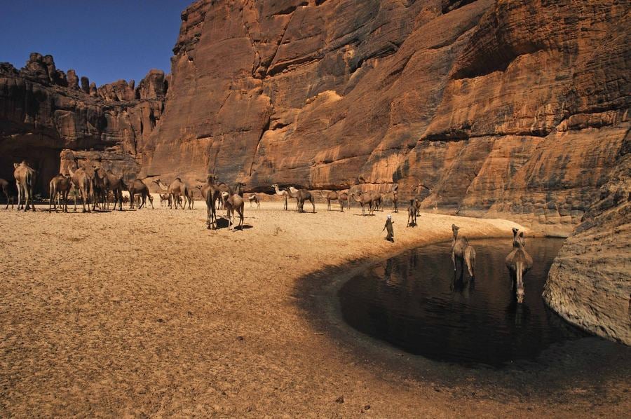 Guelta D’Archei – The Most Famous Permanent Water Source In The Ennedi ...