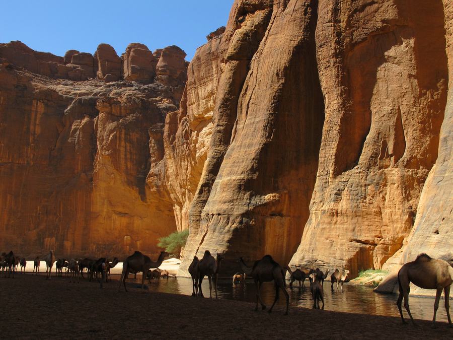 Guelta D’Archei – The Most Famous Permanent Water Source In The Ennedi ...