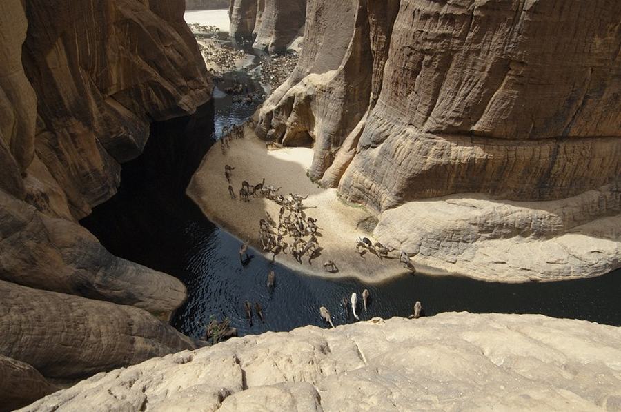 Guelta D’Archei – The Most Famous Permanent Water Source In The Ennedi ...