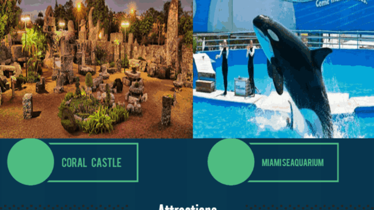 This Infographic Shows The Most Popular Languages Around The World ...