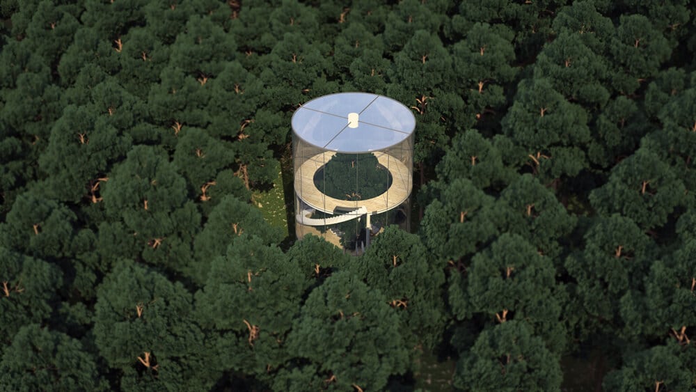 Tubular Glass House Built Around Tree | FREEYORK