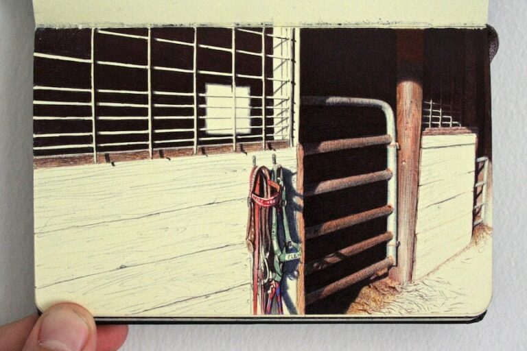 Accurate Sketches Of Criminals By Lois Gibson Have Solved More Than 1. ...