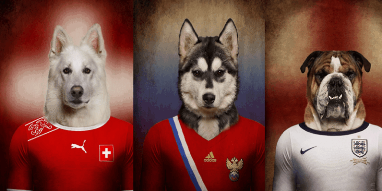 World Cup: Dogs In National Football Team Jerseys | FREEYORK