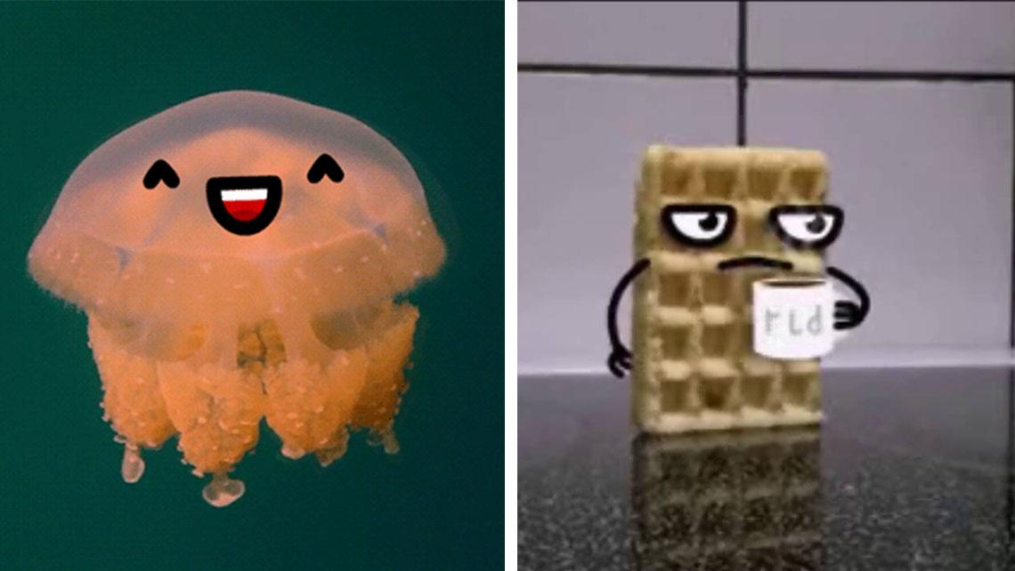 15 Real Life GIFs That Make Usual Stuff Things So Much Funnier | FREEYORK