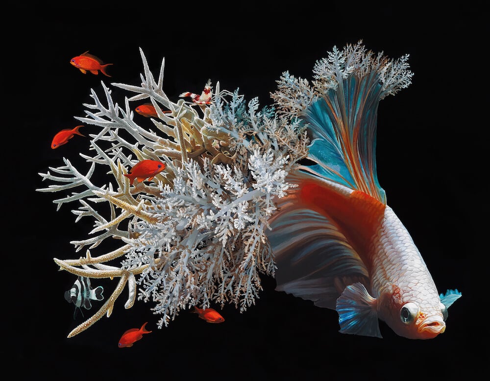 Hyperrealistic Drawings Of Fish Blended With Their Coral Environments ...