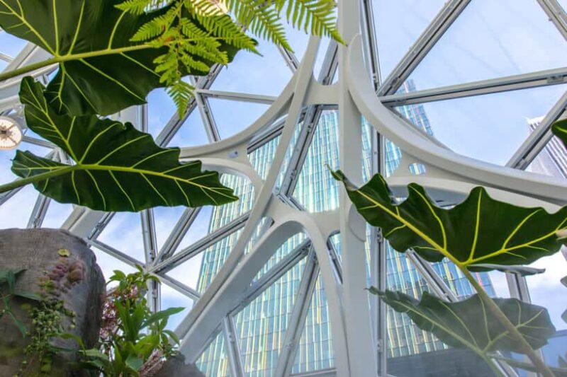 Amazon Reveals A Stunning Mini Rainforest In Its Office Spheres | FREEYORK