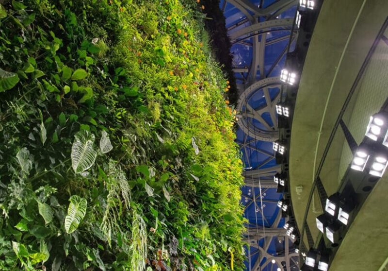 Amazon Reveals A Stunning Mini Rainforest In Its Office Spheres | FREEYORK