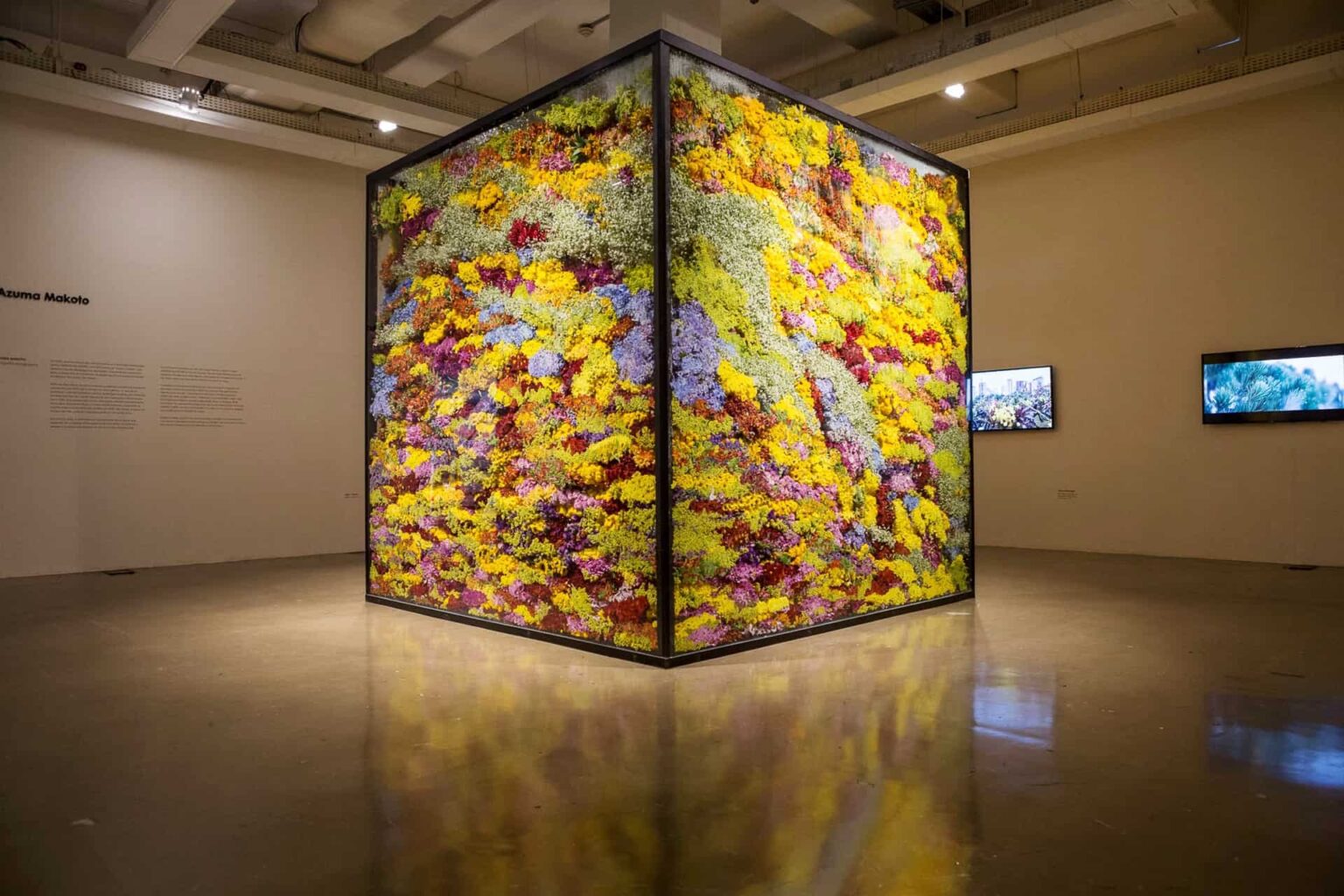 Japanese Artist Azuma Makoto Explores The Lifecycle Of Flowers In His ...