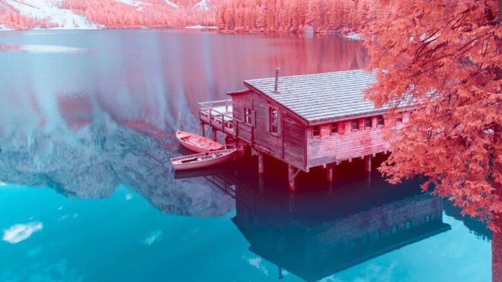 Heartbreaking Infrared Photography From The Congo In The Enclave | FREEYORK