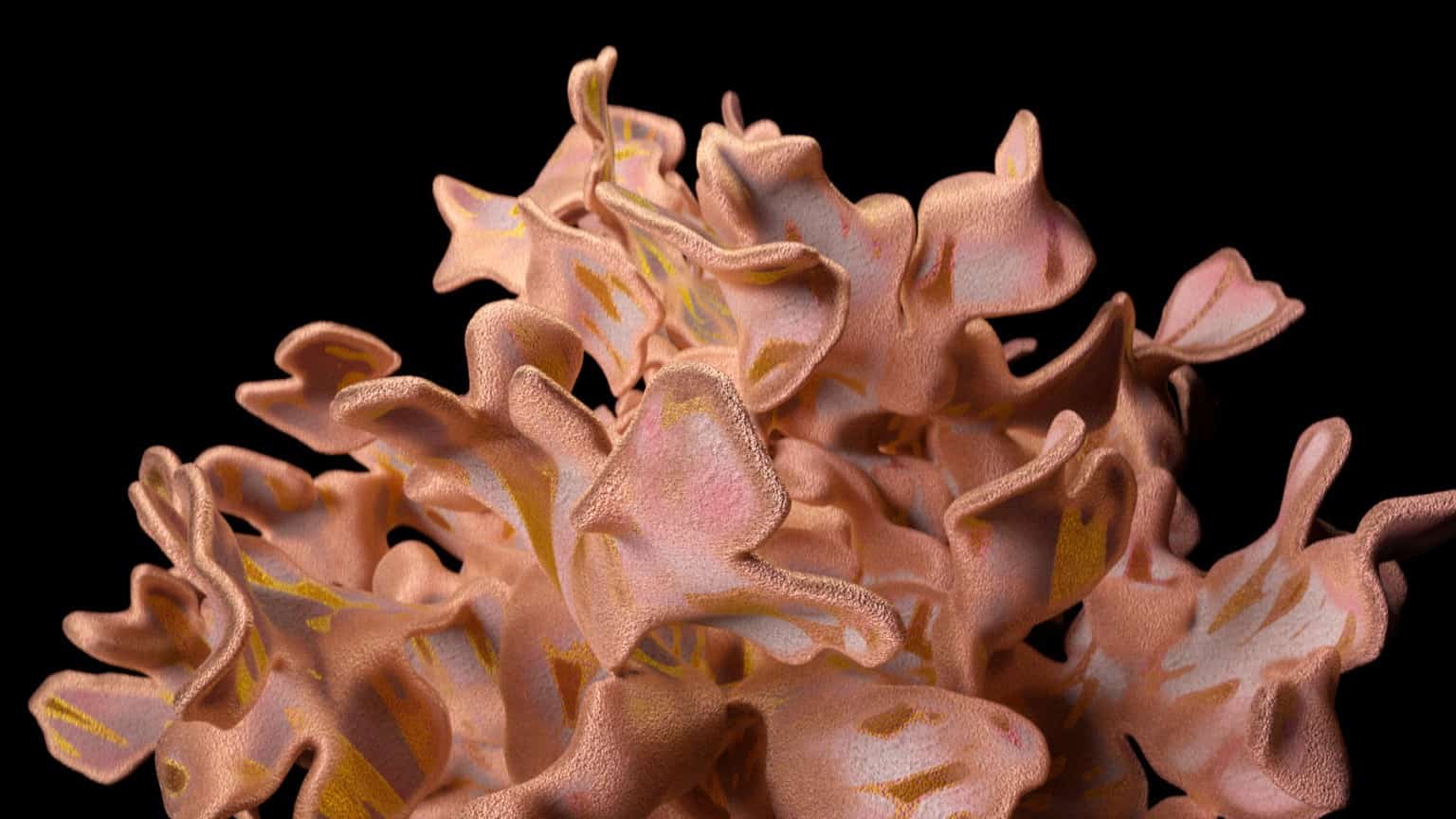 Japanese Artist Azuma Makoto Explores The Lifecycle Of Flowers In His ...