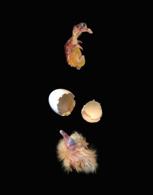 Photographer Andrew Garn Spent Eight Years Capturing The Charm Of The ...