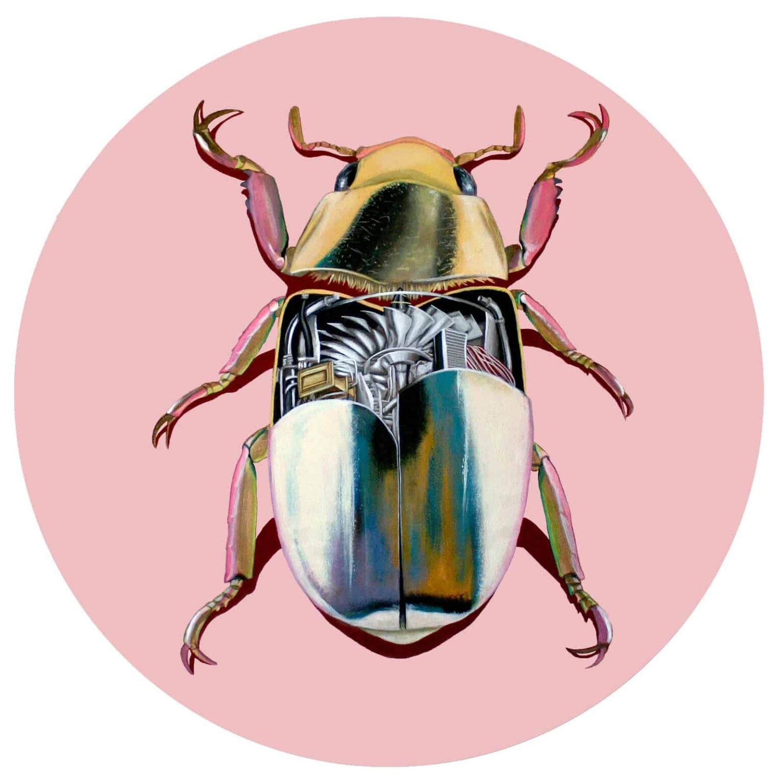 An Artist Creates Insect-Machine Hybrids To Raise Awareness | FREEYORK