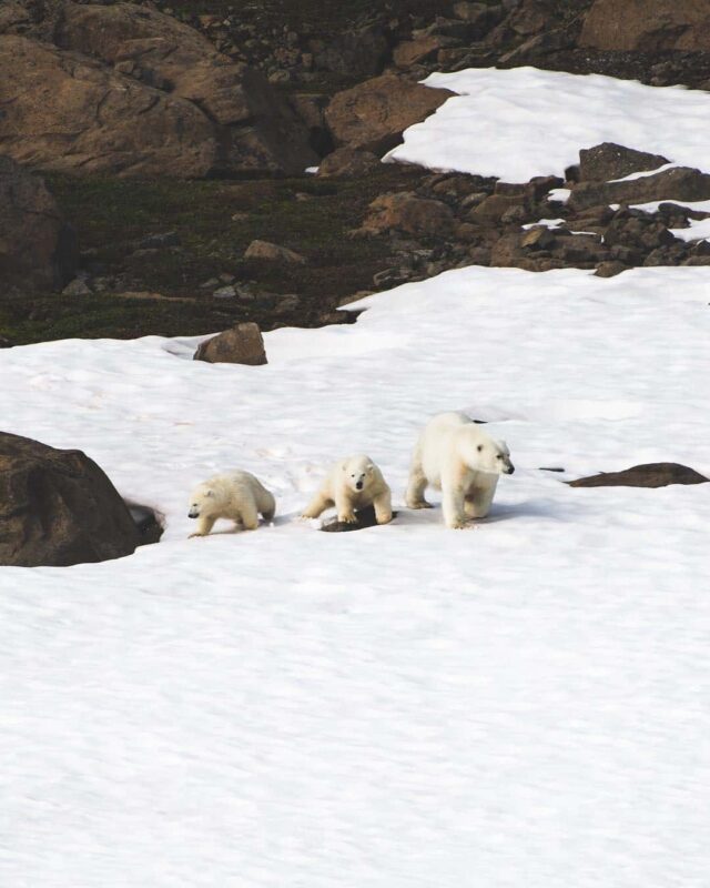 Joe Shutter Shares Photos From His Silent Arctic Photographic ...