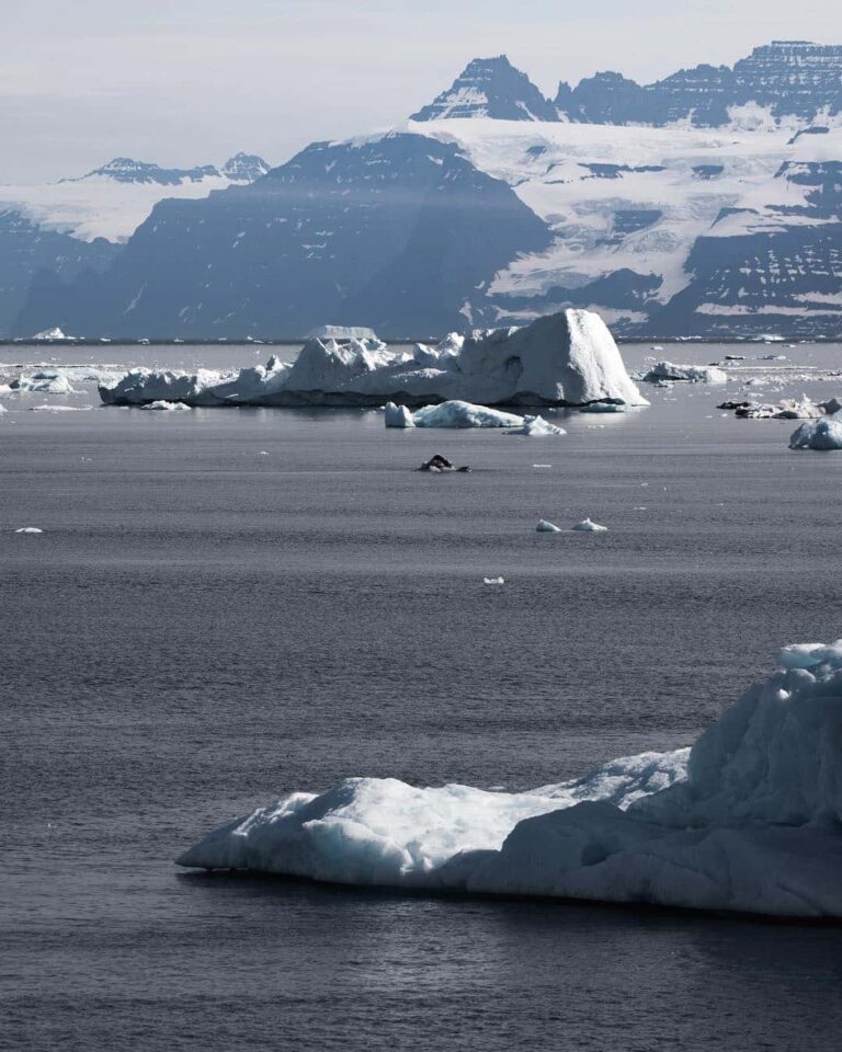 Joe Shutter Shares Photos From His Silent Arctic Photographic ...