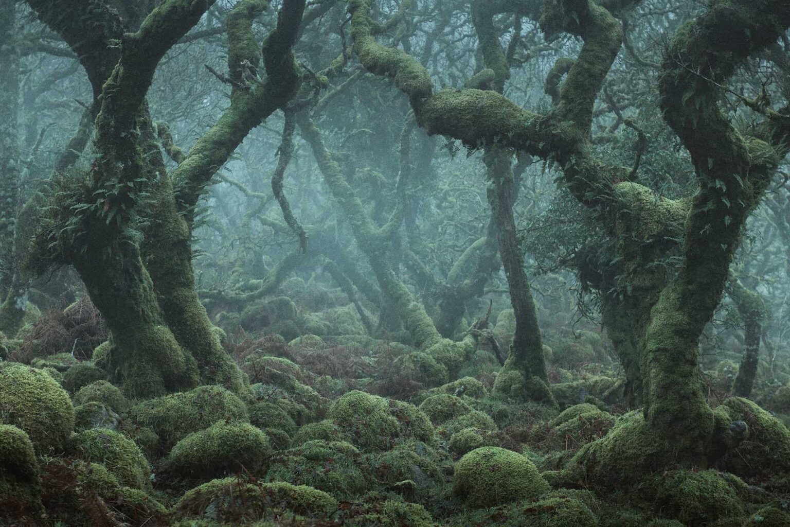 Photographer Neil Burnell Captures Mystical Beauty Of Fairytale-like ...