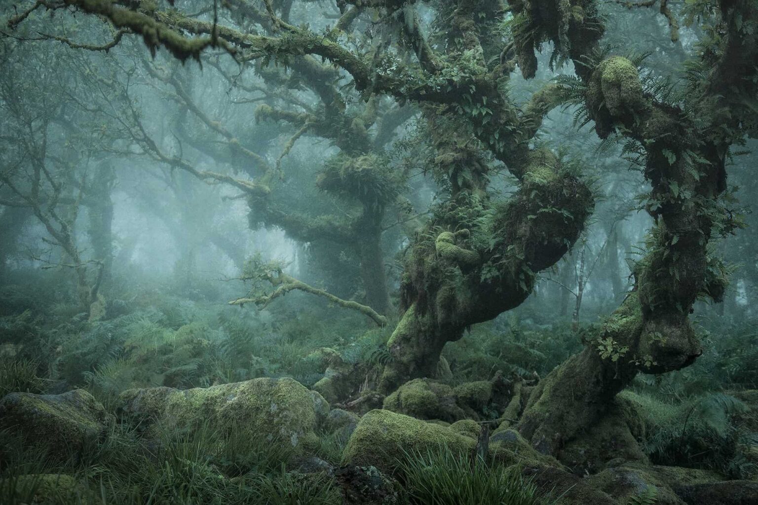 Photographer Neil Burnell Captures Mystical Beauty Of Fairytale-like ...