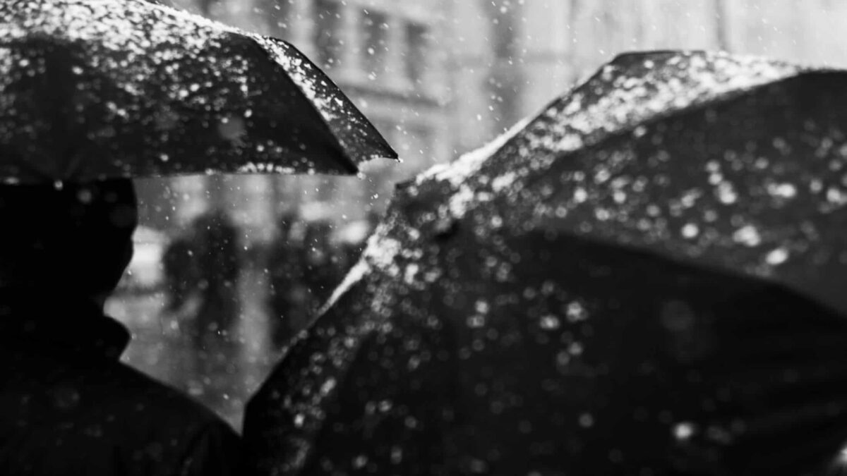 New York City By Brad Sloan | FREEYORK