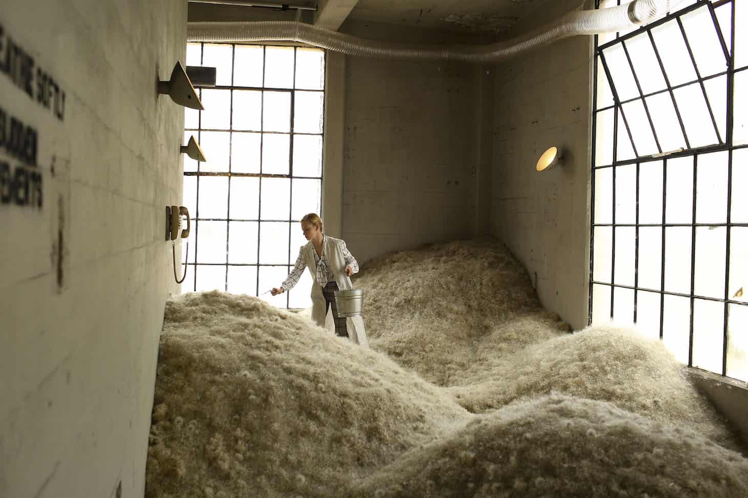 A Recent Installation In California Is Full Of Dandelions To Process ...