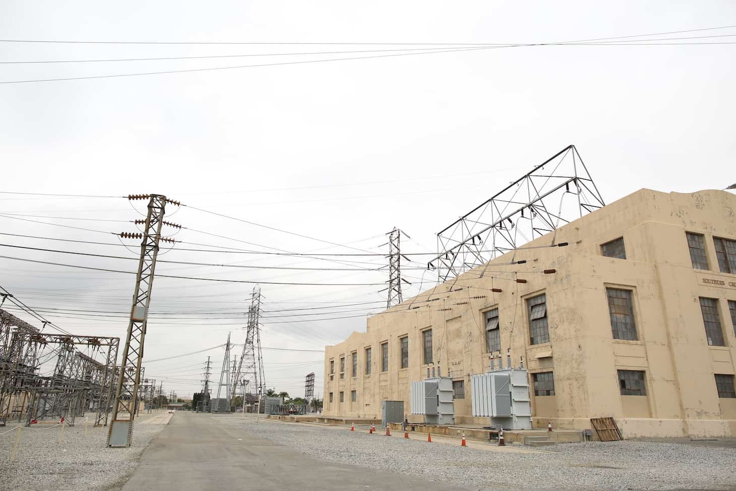 A Recent Installation In California Is Full Of Dandelions To Process ...