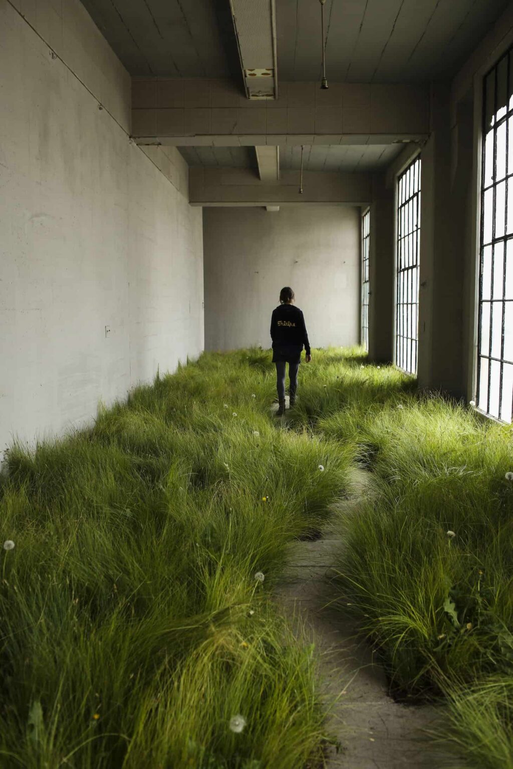 A Recent Installation In California Is Full Of Dandelions To Process ...