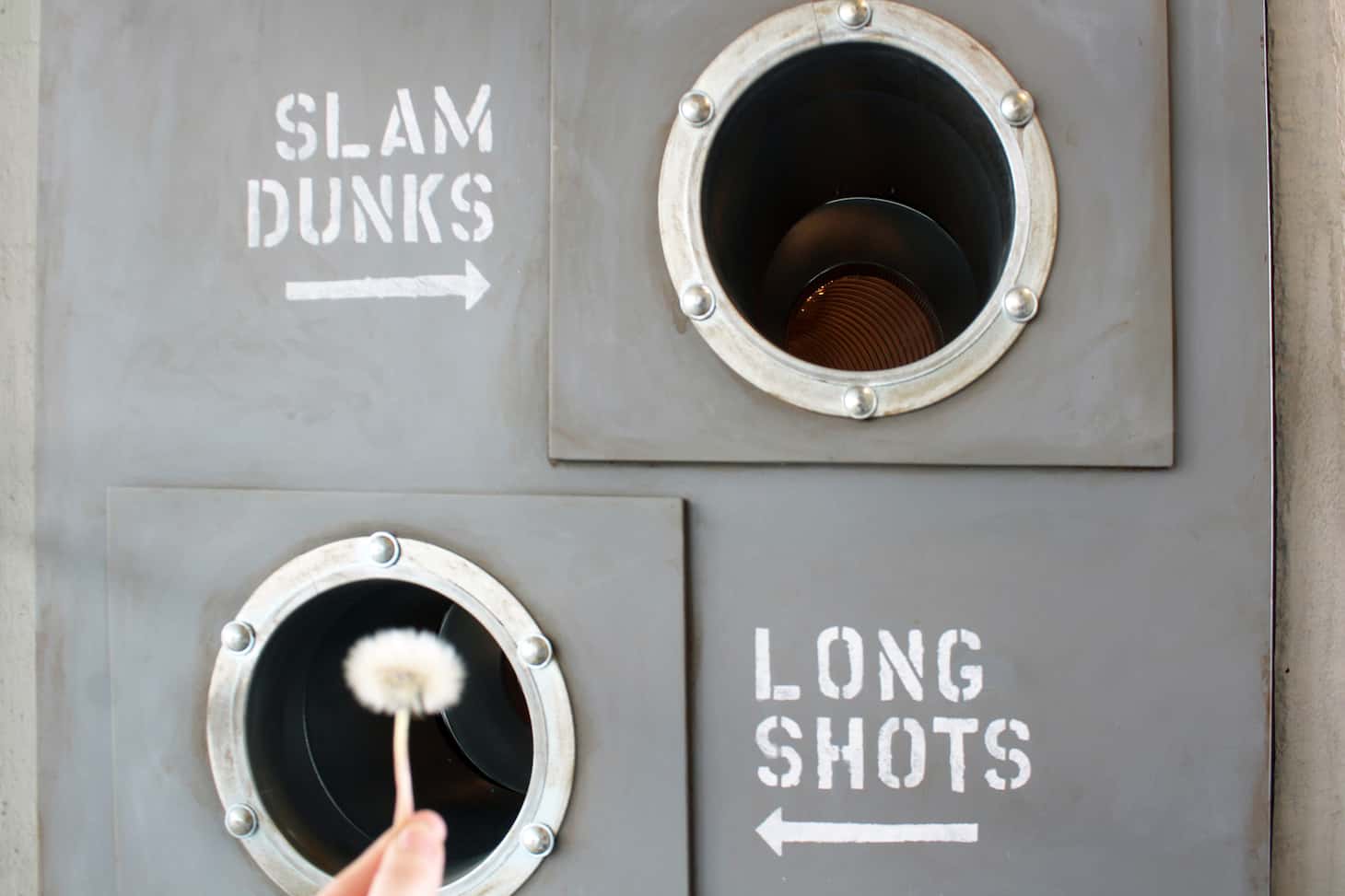 A Recent Installation In California Is Full Of Dandelions To Process ...
