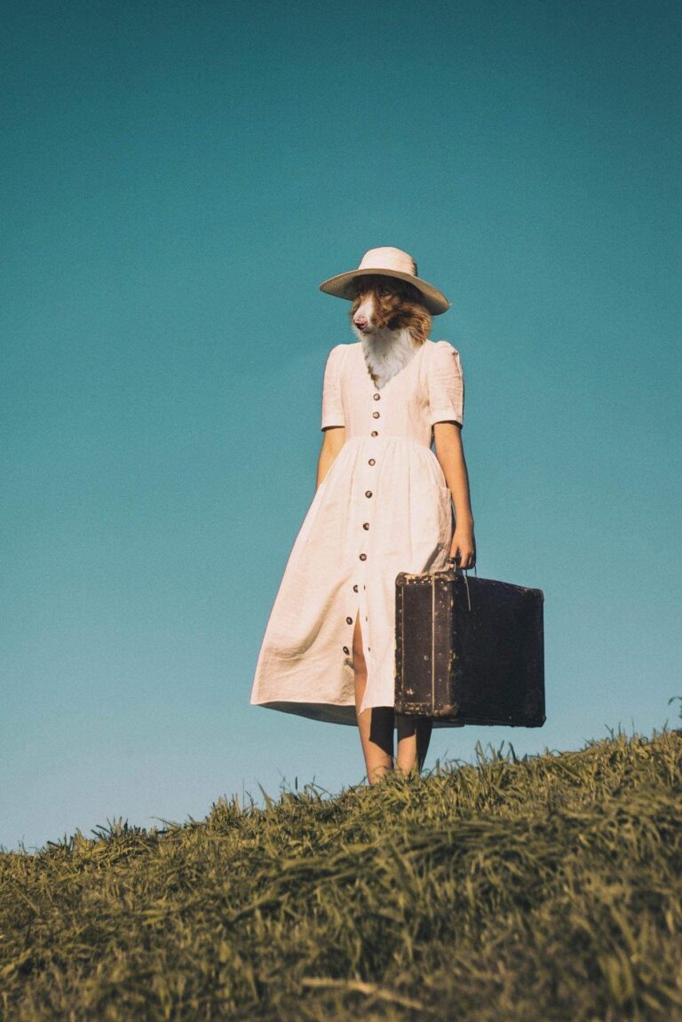 Ahmad Habash' Project “Anthropomorphism” Humanizes Animals And ...