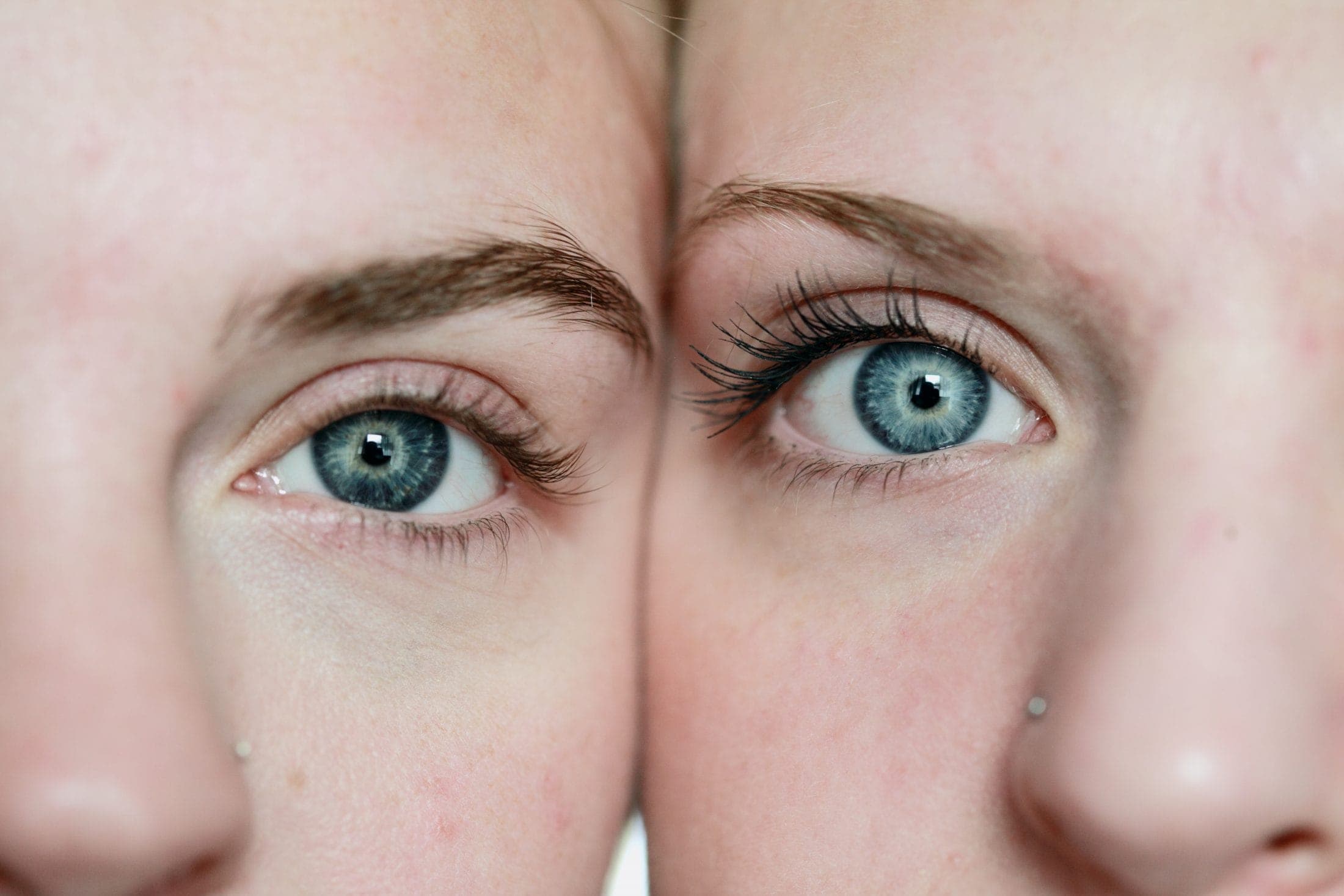 Visual Perception FREEYORK