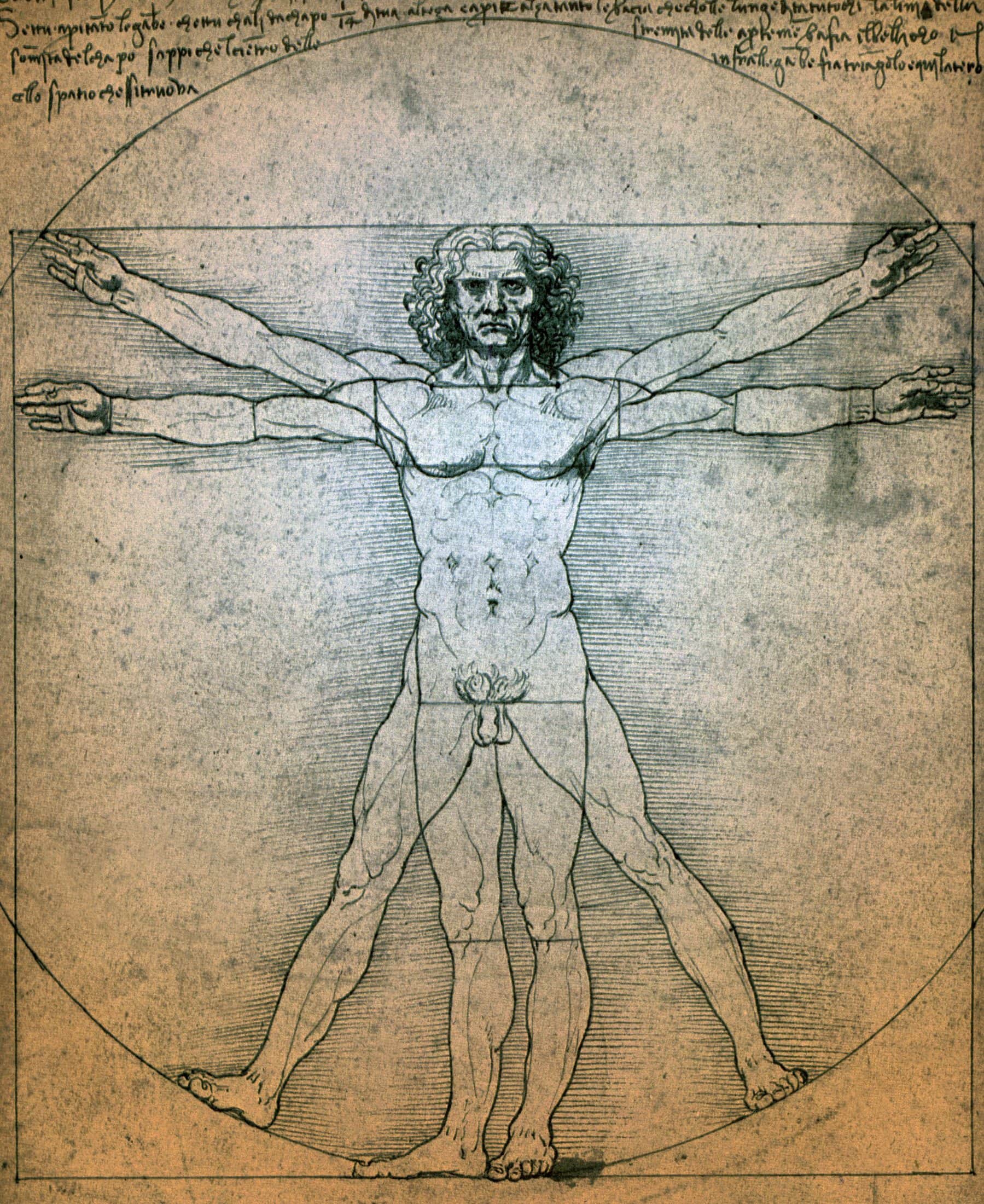 Leonardo Da Vinci Dibujos
