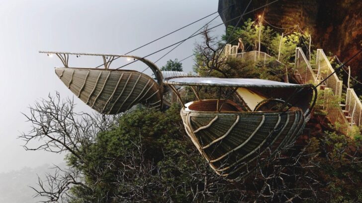 Lofty Tree Pod Dining At The Soneva Kiri Resort Thailand | FREEYORK