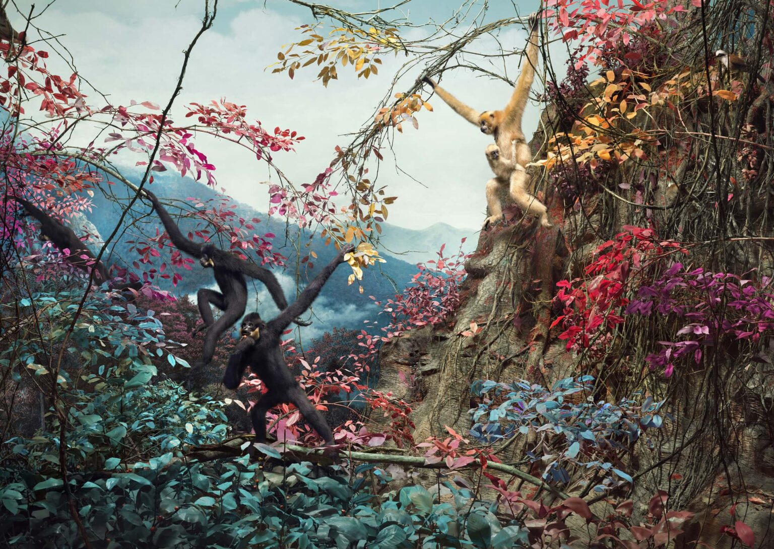 Jim Naughten: Blurring The Lines Between Photography, Digital Art, And ...