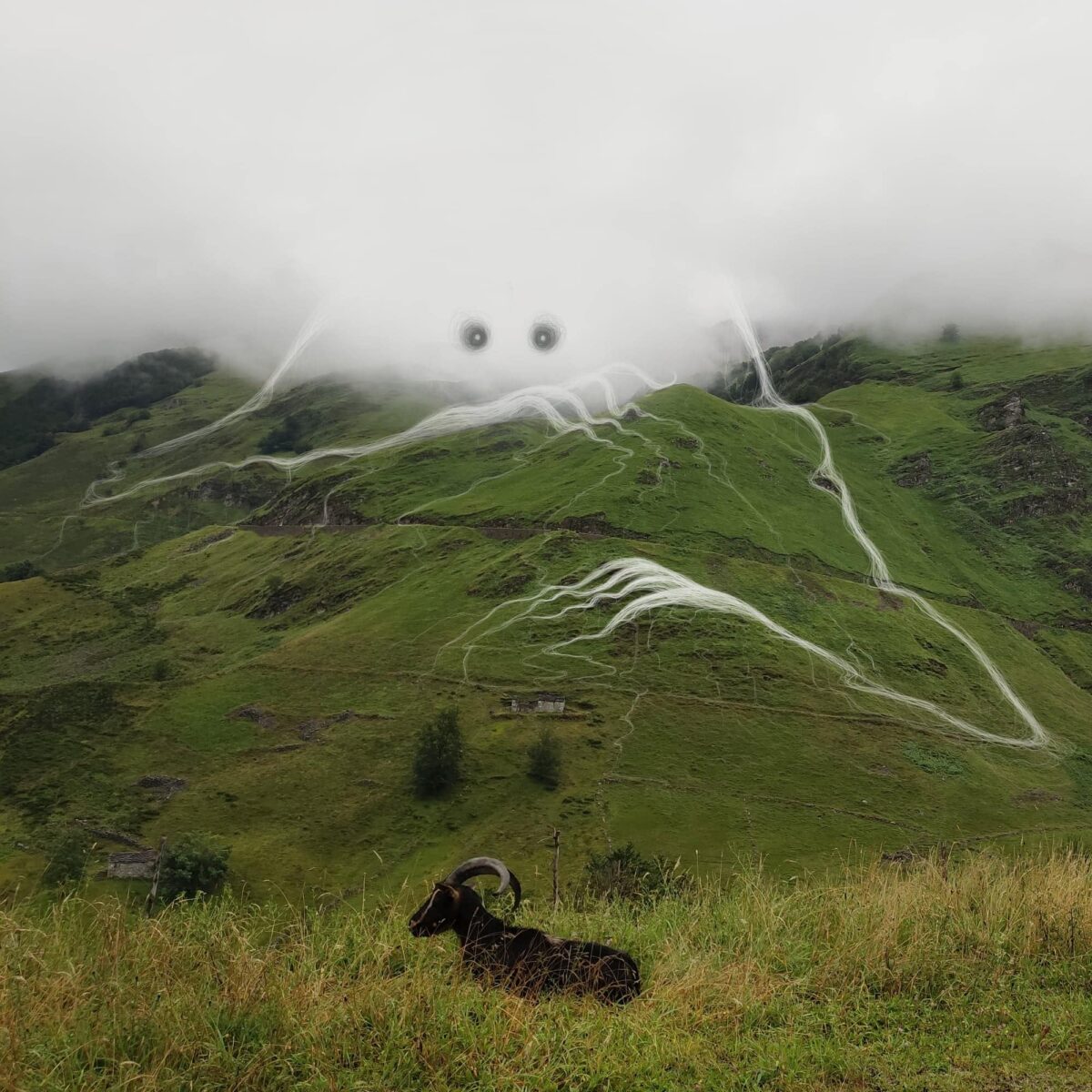 Vorja Sánchez's Ghostly Dreamworld: Spectral Creatures Provoke Hikers ...