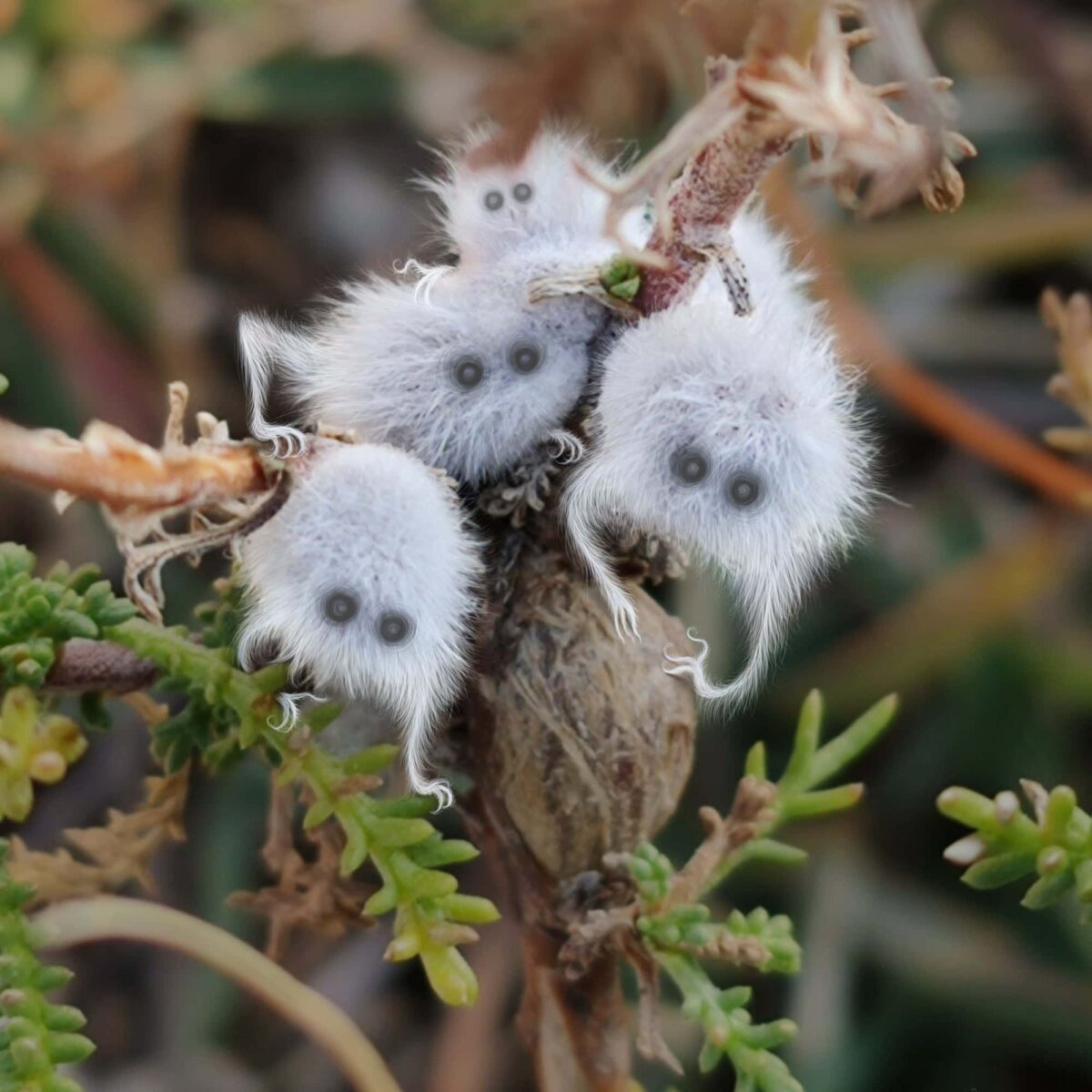 Vorja Sánchez's Ghostly Dreamworld: Spectral Creatures Provoke Hikers ...