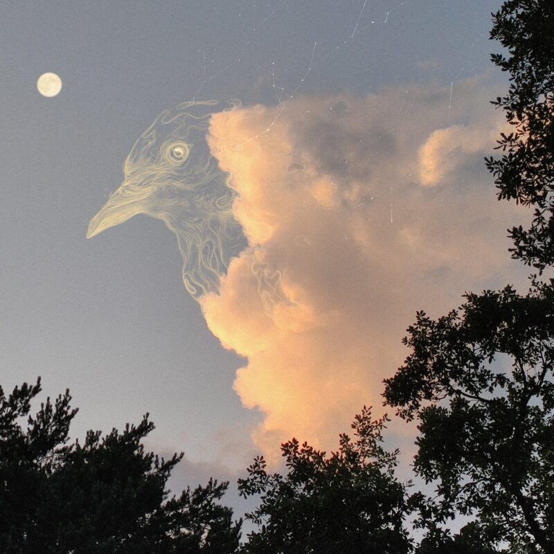 Vorja Sánchez's Ghostly Dreamworld: Spectral Creatures Provoke Hikers ...