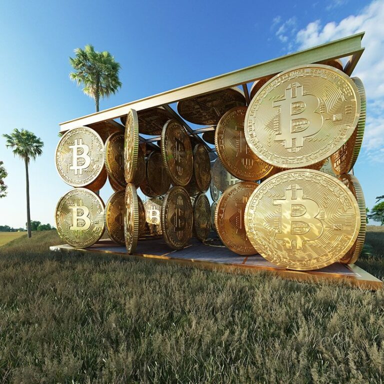 Turning Bitcoin Into A House: Cyril Lancelin's Thought-Provoking ...