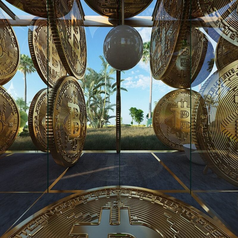 Turning Bitcoin Into A House: Cyril Lancelin's Thought-Provoking ...