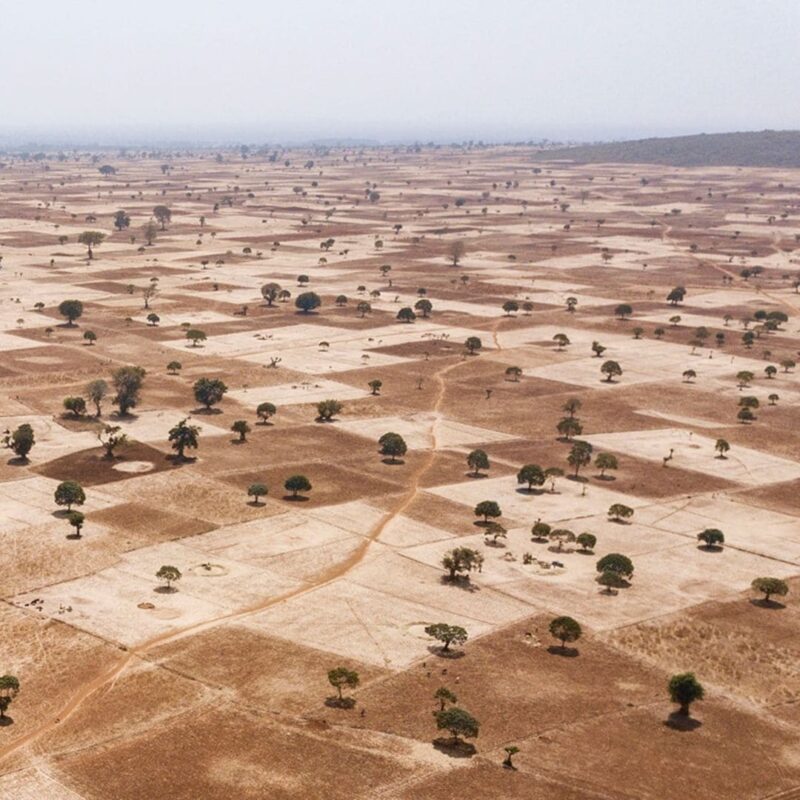 "Gardens Of Eden": Churches And The Preservation Of Ethiopia's ...