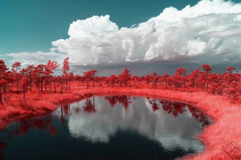 Pierre-Louis Ferrer's Unique Look At Latvia: Infrared And Ultraviolet ...