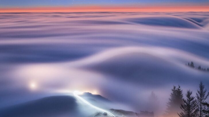 10 Most Expensive Photographs In The World » FreeYork