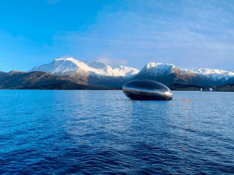 Salmon Eye: A Unique Floating Exhibit That Highlights The Plight Of ...