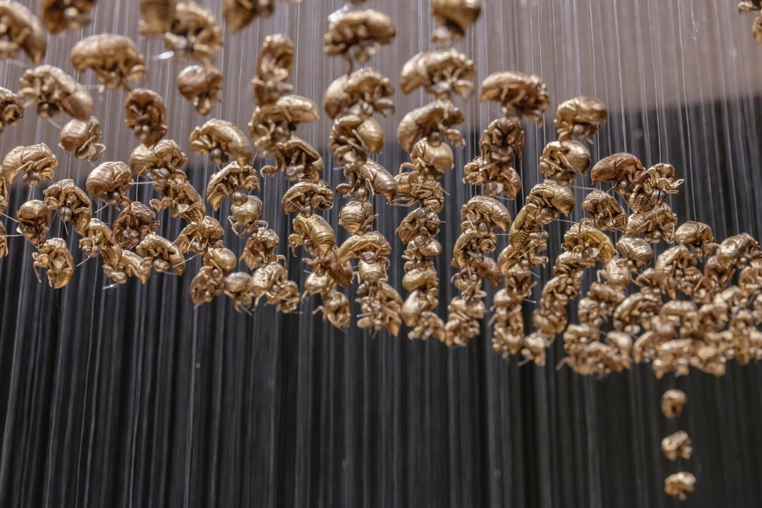 Chinese Artist Xiaojing Yan's Exhibition Of Immortality - Bearing Lingzhi Mushroom Sculptures ...