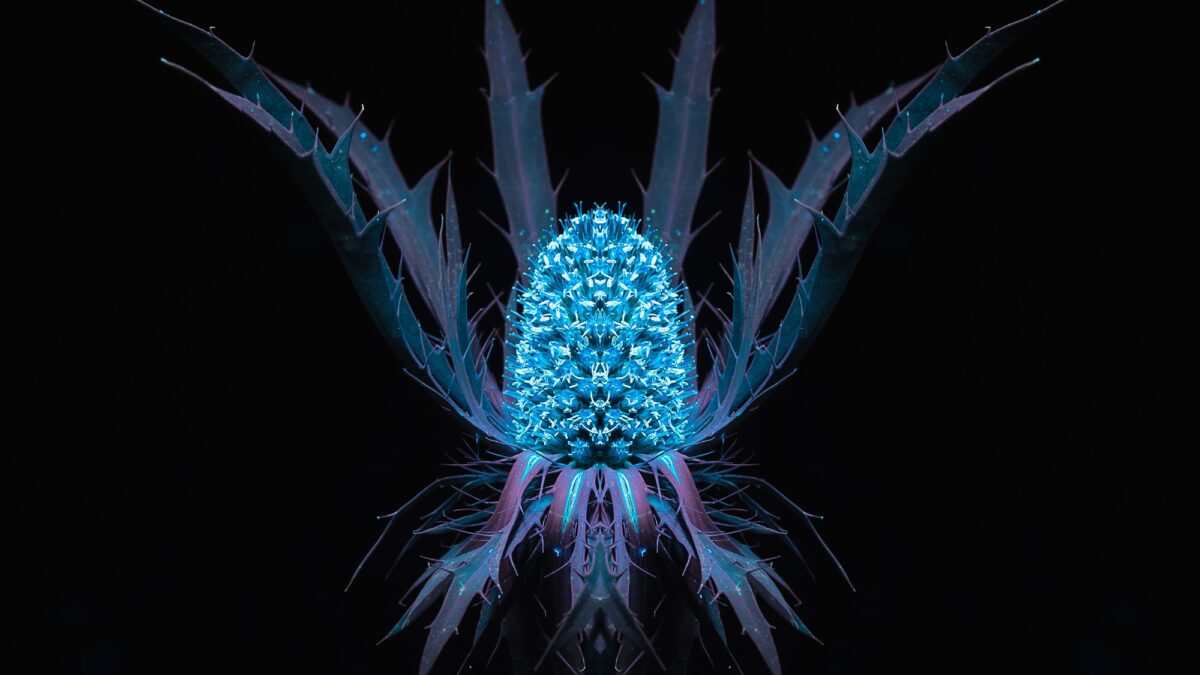 New York City By Brad Sloan | FREEYORK