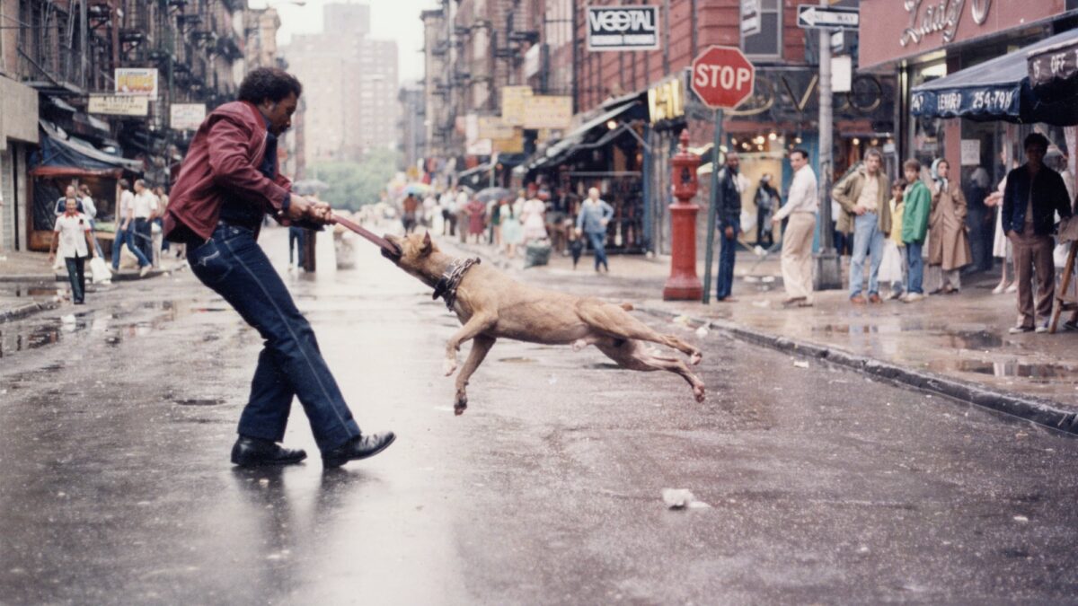 New York City By Brad Sloan | FREEYORK