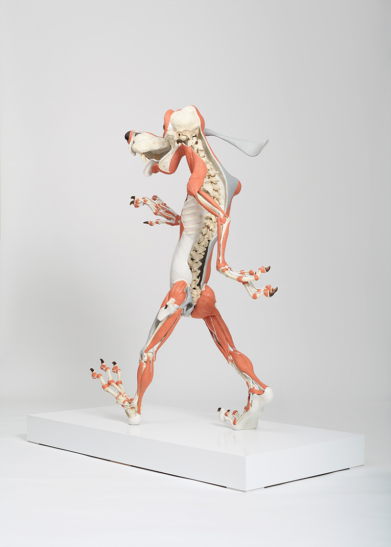 Korean Artist Hyungkoo Lees Bizarre Experimental Artworks Featuring Skeletons And Cartoon