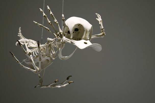 Korean Artist Hyungkoo Lees Bizarre Experimental Artworks Featuring Skeletons And Cartoon