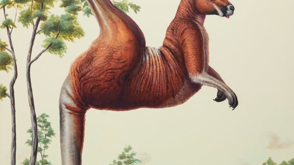 Art Archives | FREEYORK